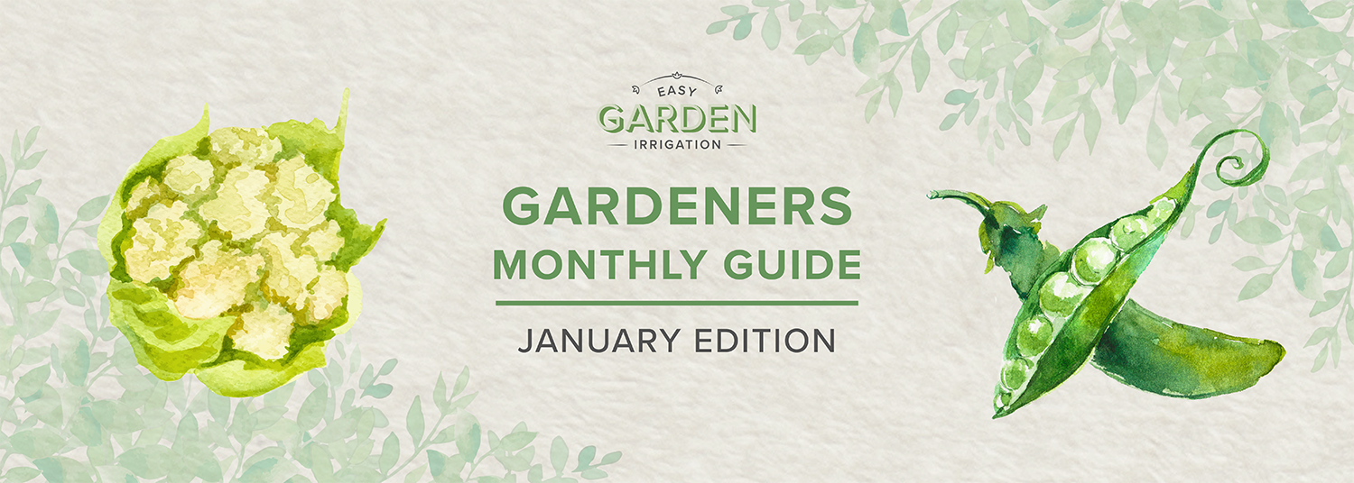 January Gardening Guide: Start the New Year with a Thriving Winter Gar ...
