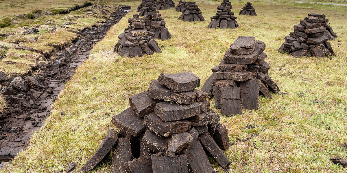 Say Goodbye to Peat-Based Gardening | Easy Garden Irrigation