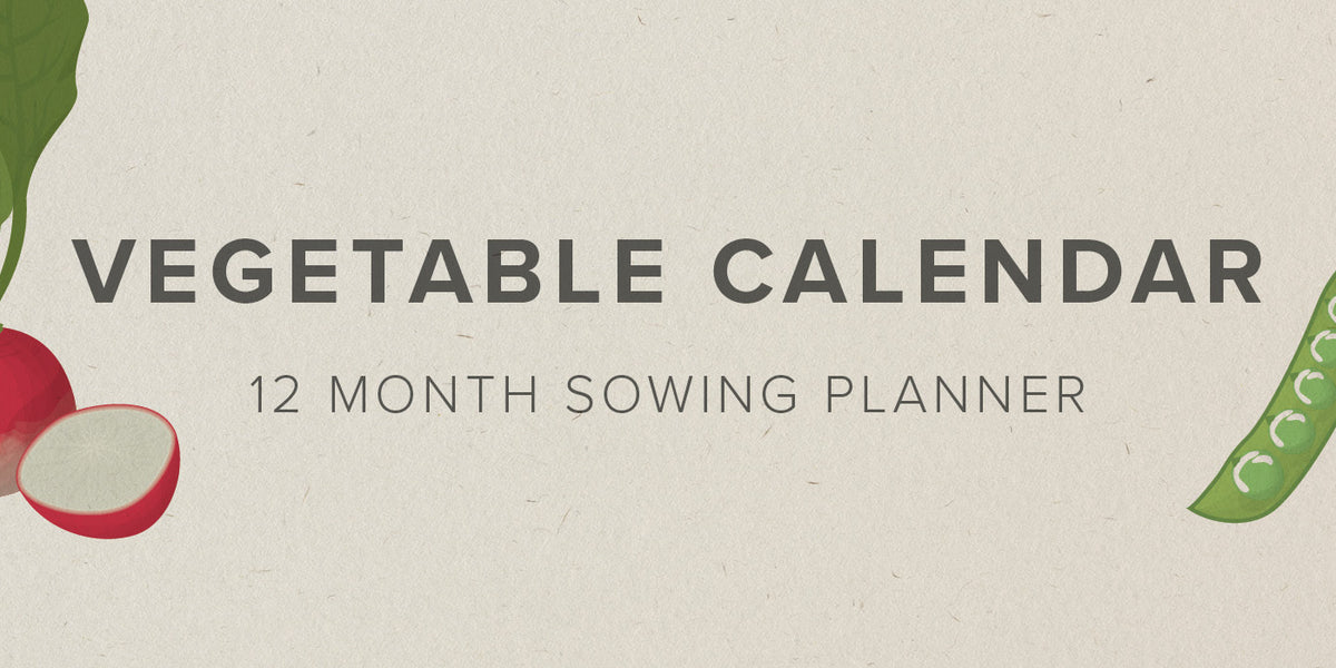 UK Vegetable Planting Calendar | Easy Garden Irrigation
