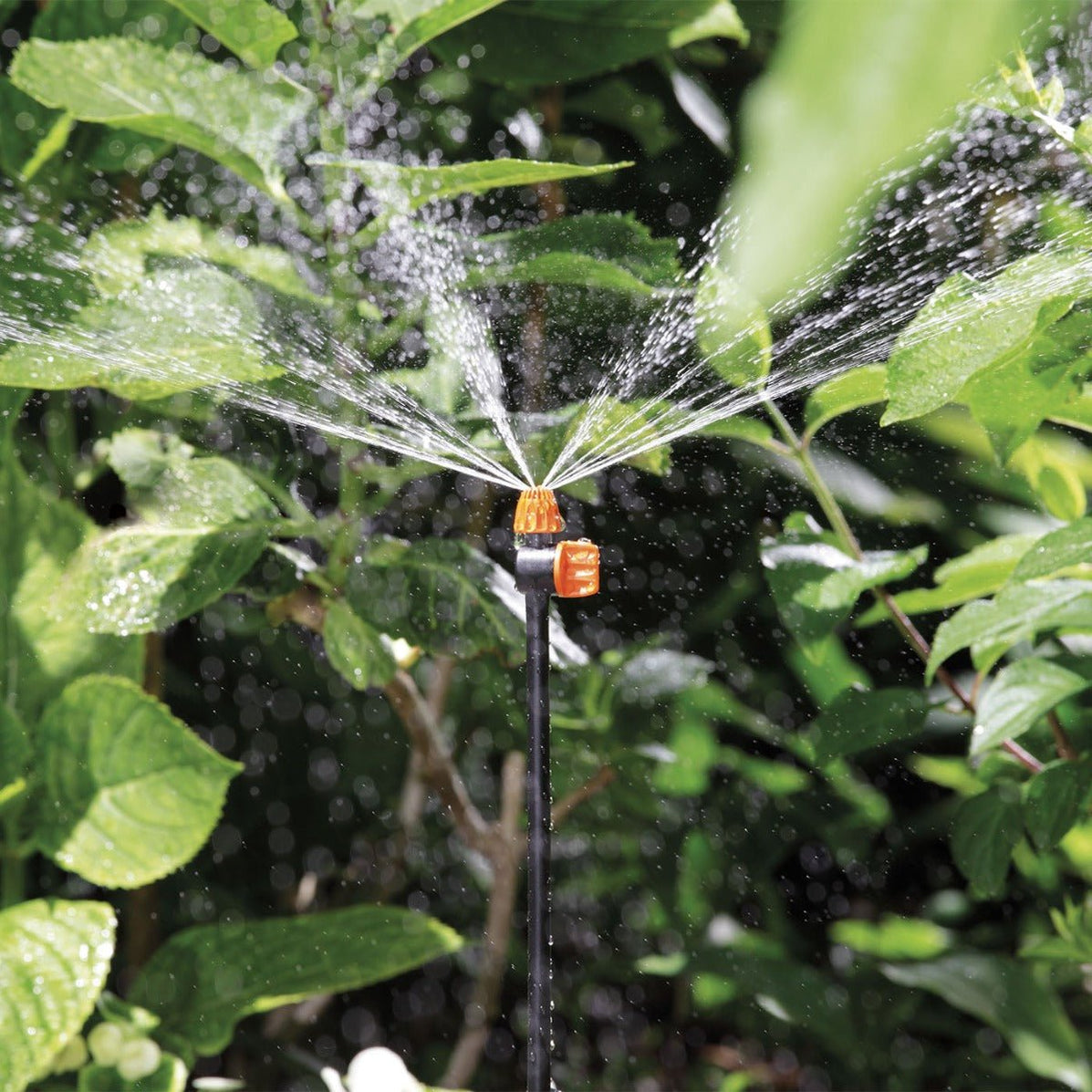 Claber 360° Adjustable Micro Spray (5 Pack) - 91249 — Easy Garden ...