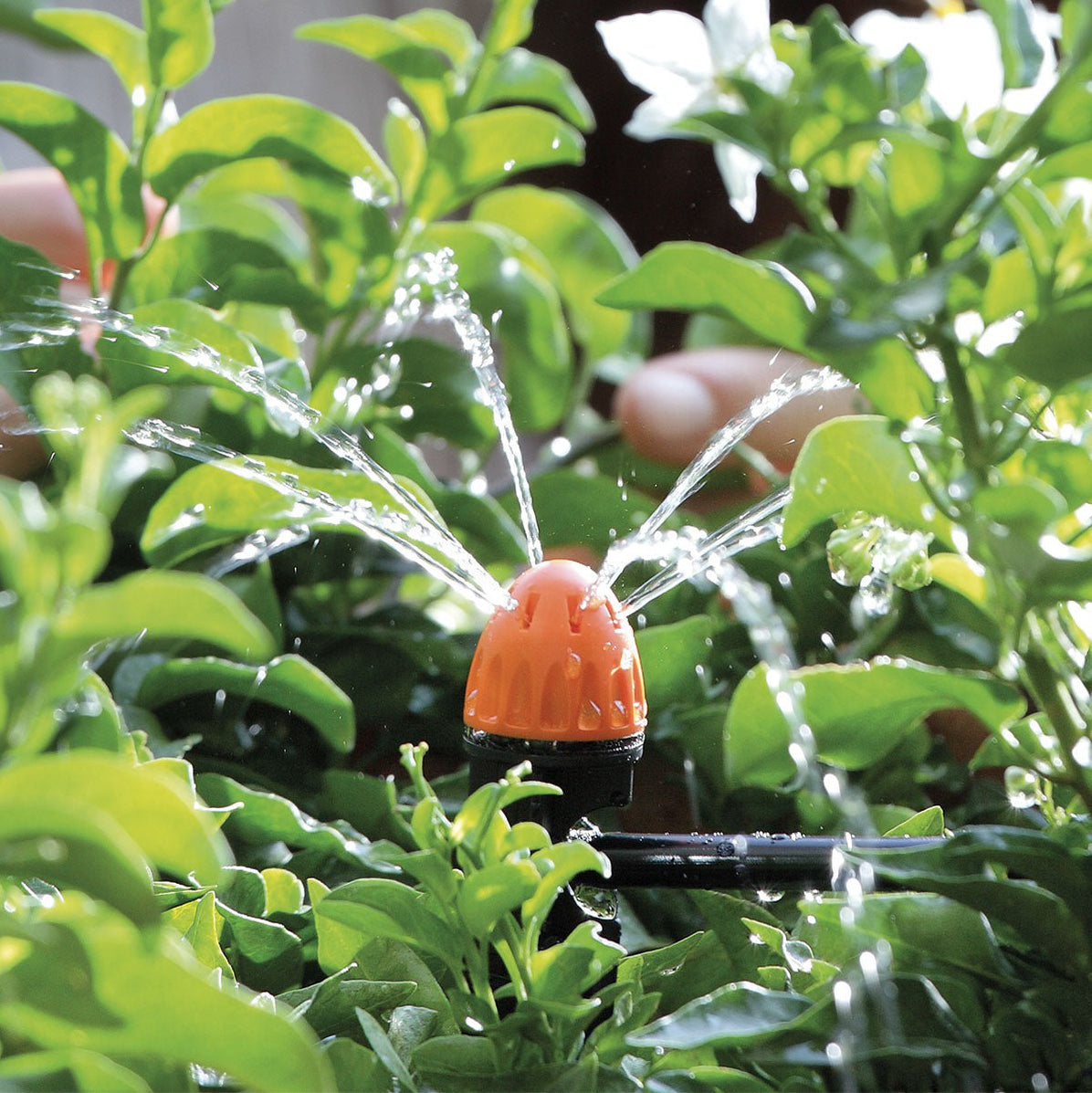 Claber 360° Adjustable Shrubbler Spike (10 Pack) - 91228 — Easy Garden ...