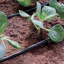 Claber Drip Line 50 Metre 13mm - 90357 — Easy Garden Irrigation
