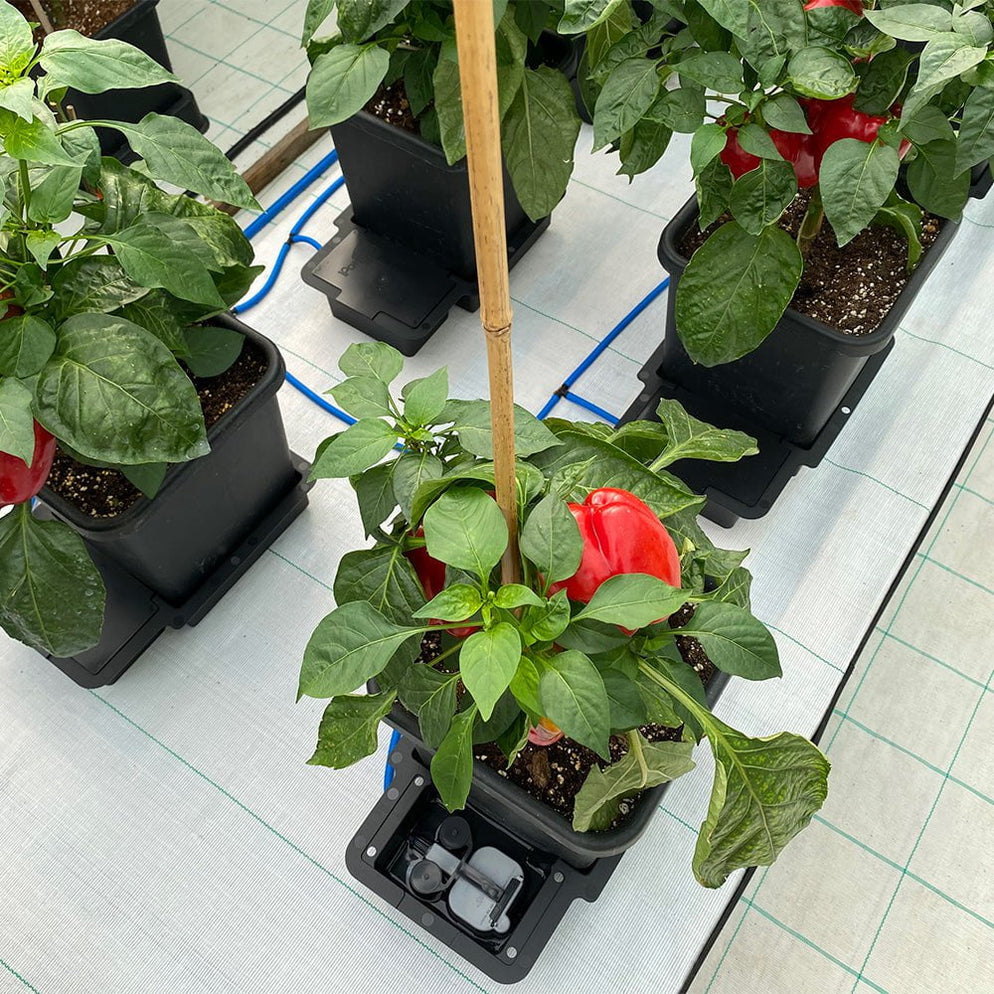 AutoPot 4Pot System | Easy Garden Irrigation