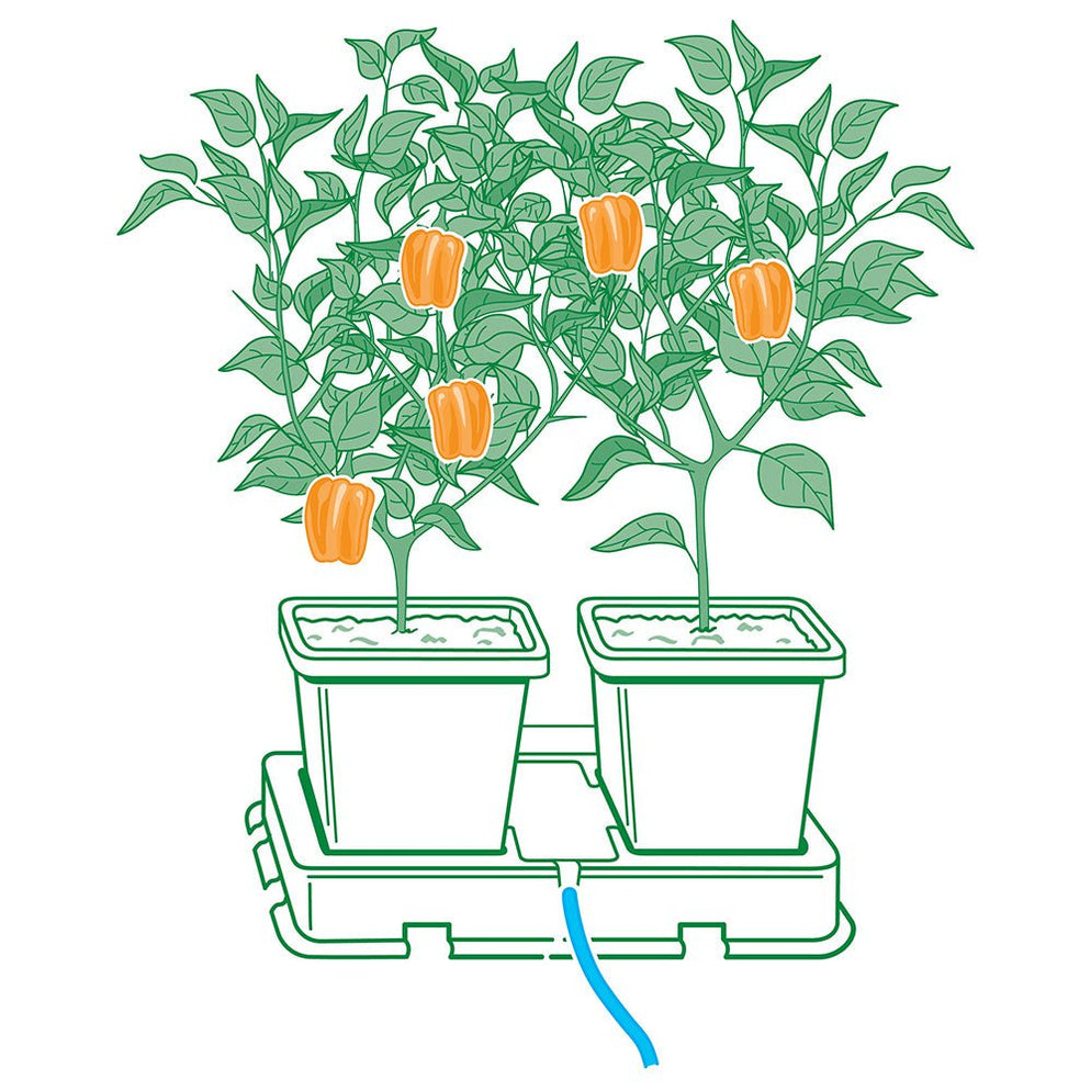 AutoPot Easy2Grow Kit | Easy Garden Irrigation