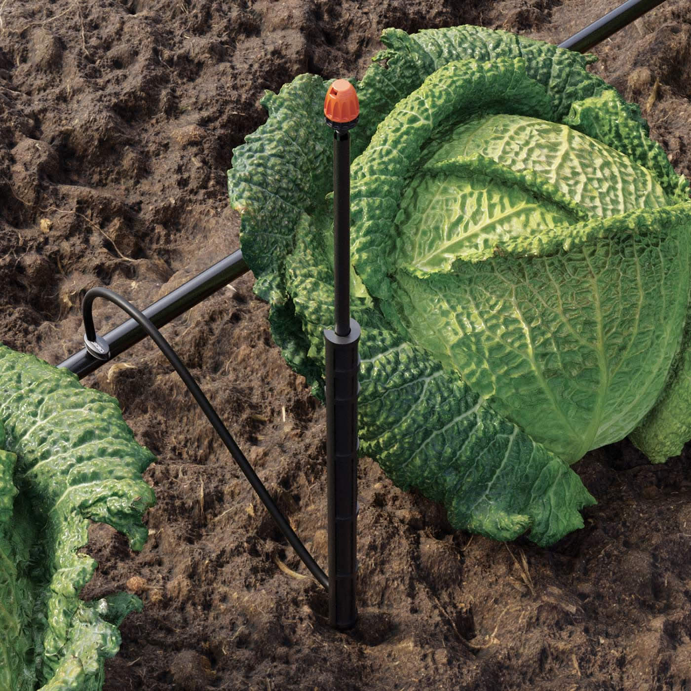 Claber Micro Spray/Sprinkler Support Stake (2 Pack) - 91265 — Easy ...