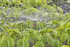 Gardena Micro Spray Extension Pipe (5 Pack) - 13326 — Easy Garden ...