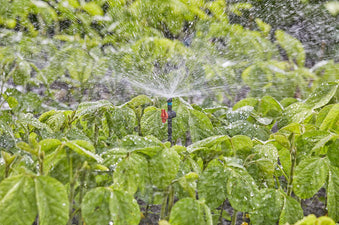 Gardena Micro Spray Extension Pipe (5 Pack) - 13326 — Easy Garden ...