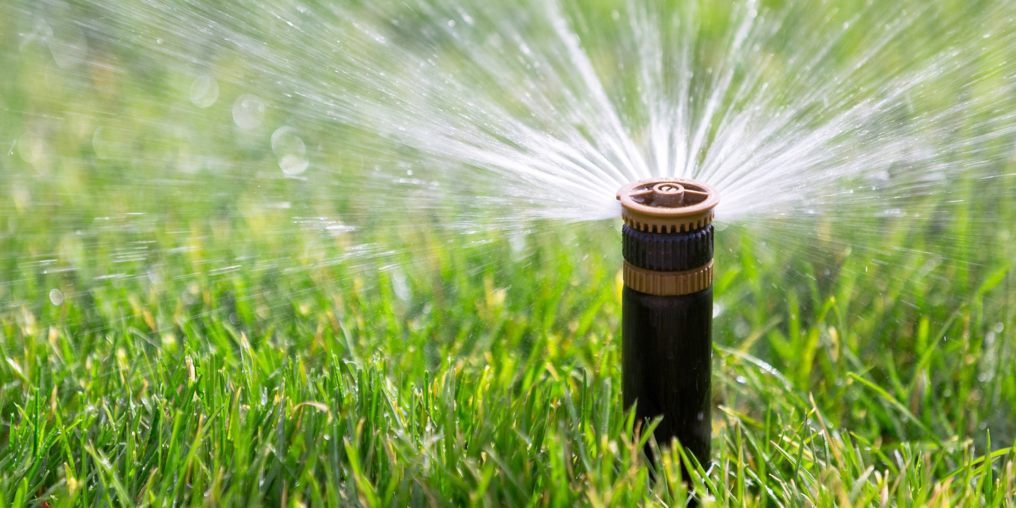 Easy Garden Irrigation | Garden Watering Systems Specialist