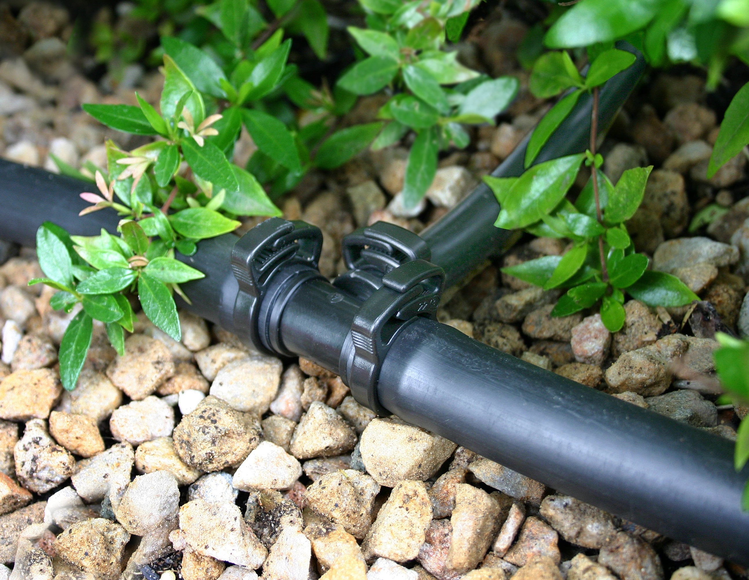 Supply Pipe Ratchet Clamp 13mm - 10 Pack | Easy Garden Irrigation