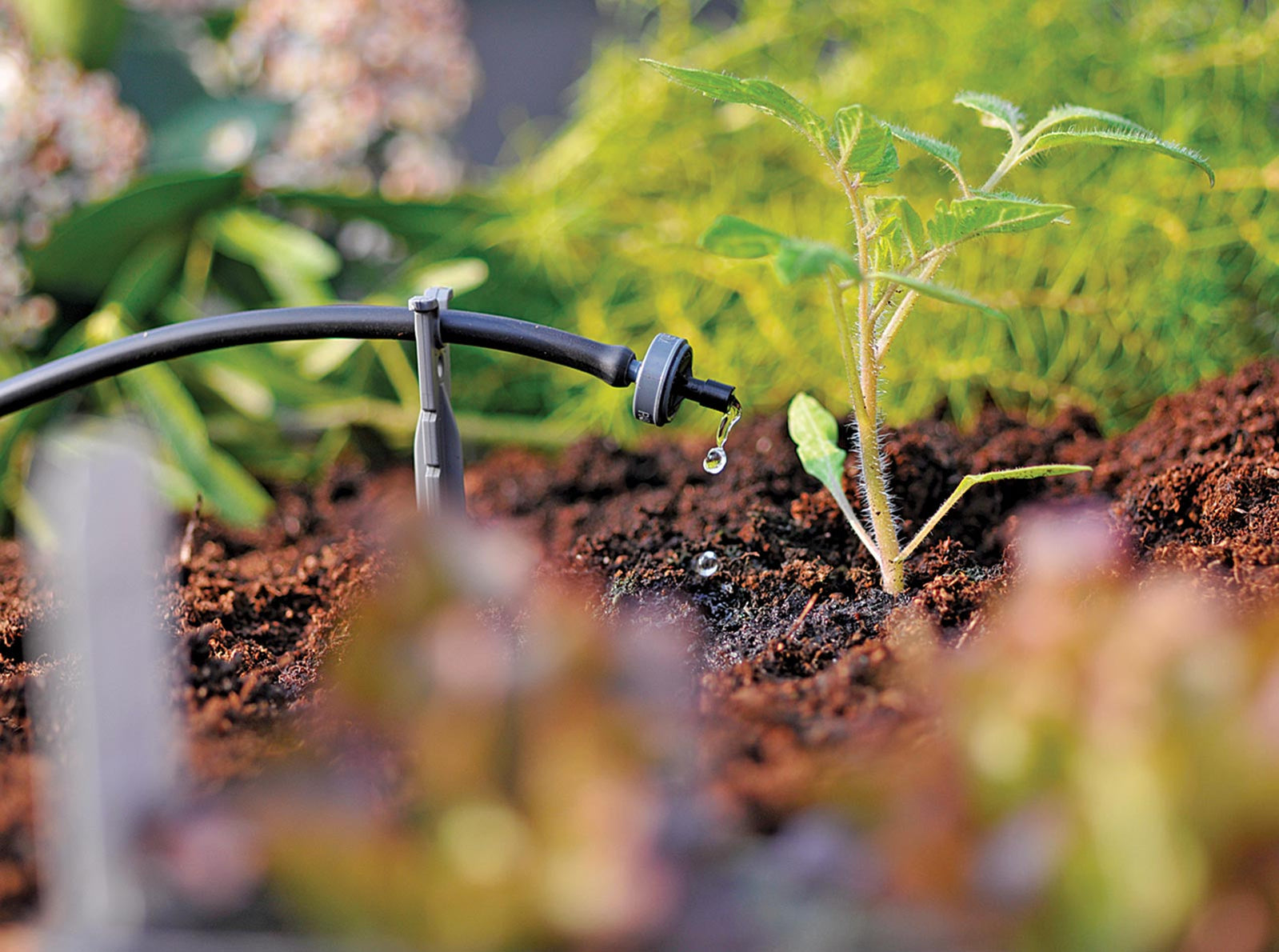 Hozelock Pro 25 Pot Automatic Watering Kit - 2804 — Easy Garden Irrigation