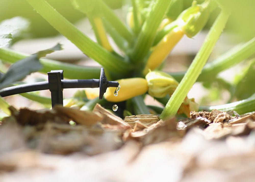 Hozelock Pinch Drip 4LPH PC Dripper - 7040 — Easy Garden Irrigation