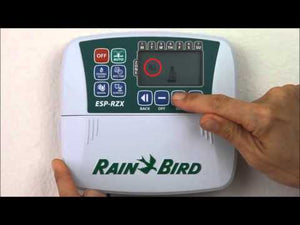 Rain Bird ESP-RZXe Series Irrigation Controller - Outdoor — Easy Garden ...