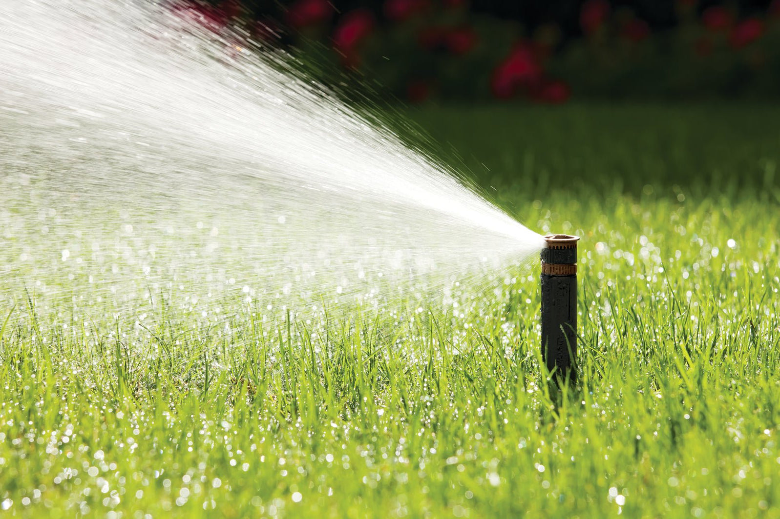 Rain Bird HE-VAN Series 4" Pop Up Sprinklers — Easy Garden Irrigation