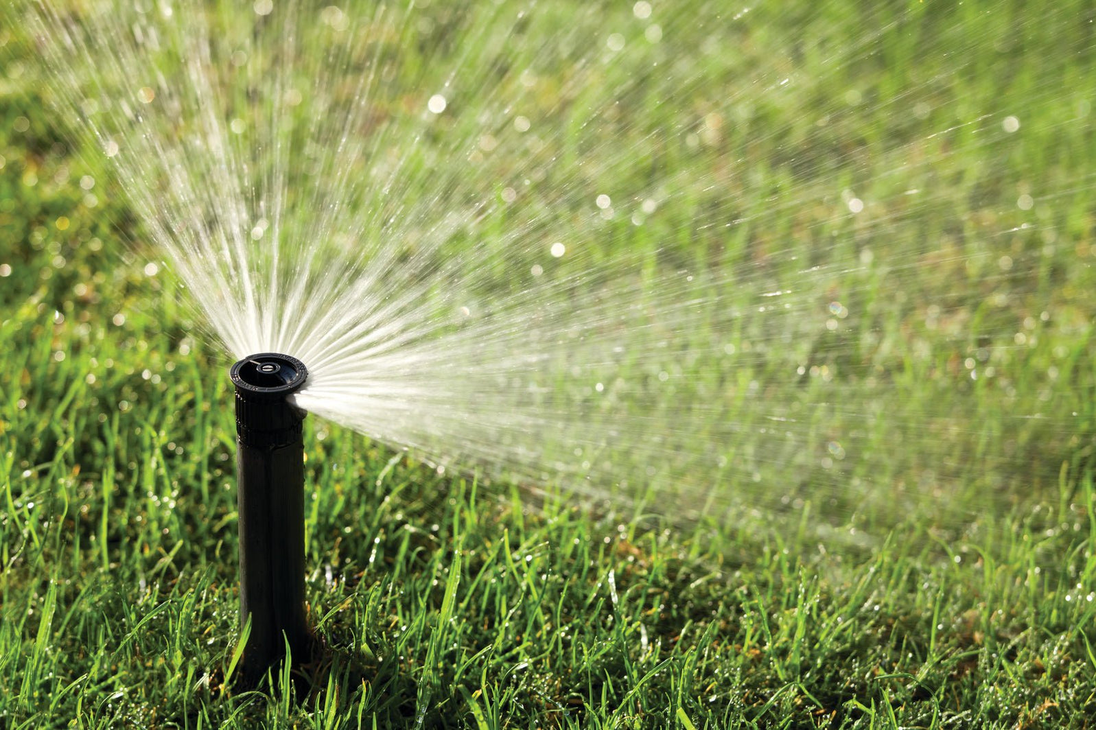 Rain Bird HE-VAN Series 4" Pop Up Sprinklers — Easy Garden Irrigation