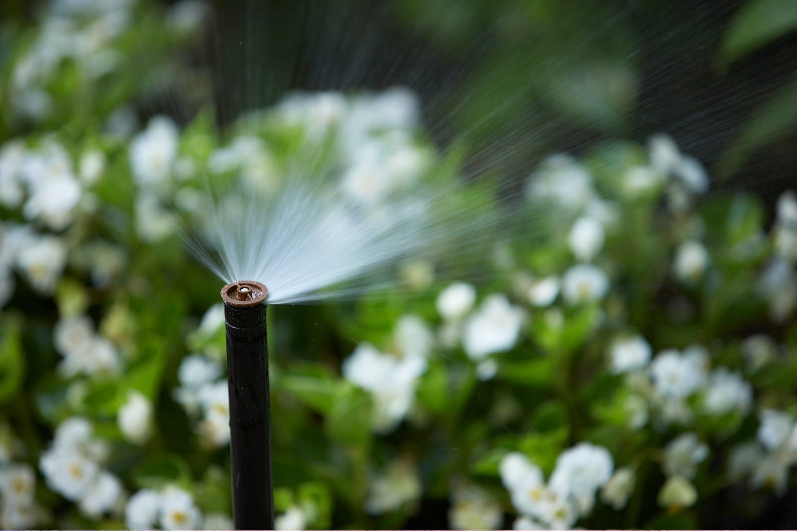 Rain Bird Variable Arc Nozzle | Easy Garden Irrigation